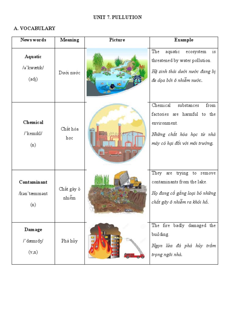 Unit 7 - Chuyen Sau Anh 8 (GV) | PDF