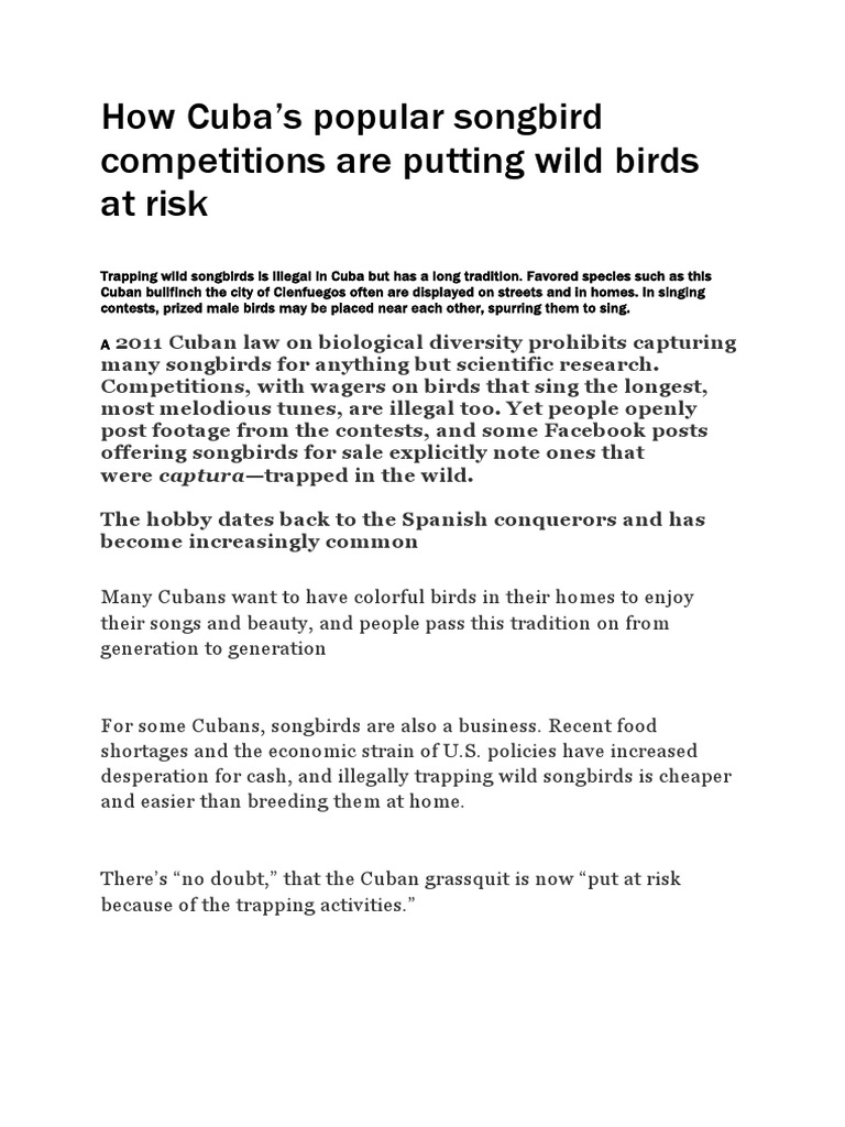 Lingua Article Cuba Illegal Bird Competitions | PDF