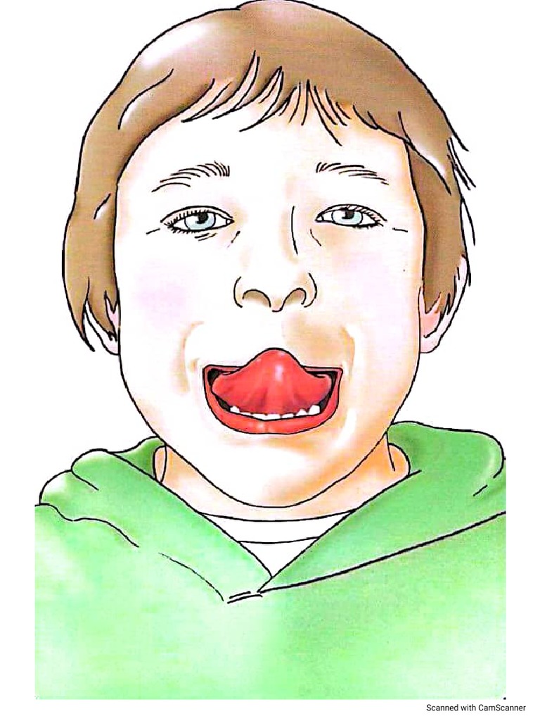 Oral Motor | PDF