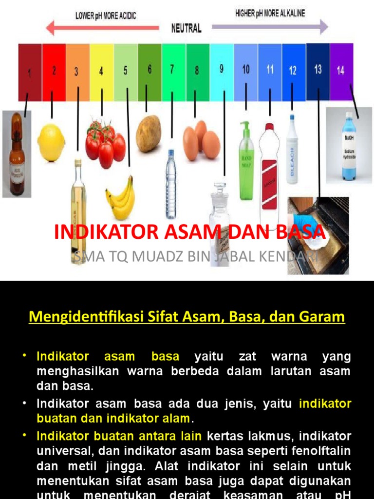 Indikator Asam Basa | PDF