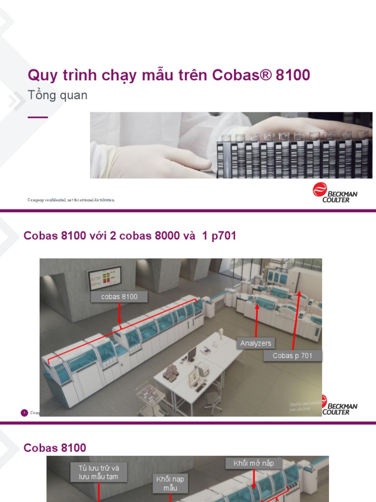 2019 07 Cobas 8100 Overview Updated | PDF | Computer Engineering ...