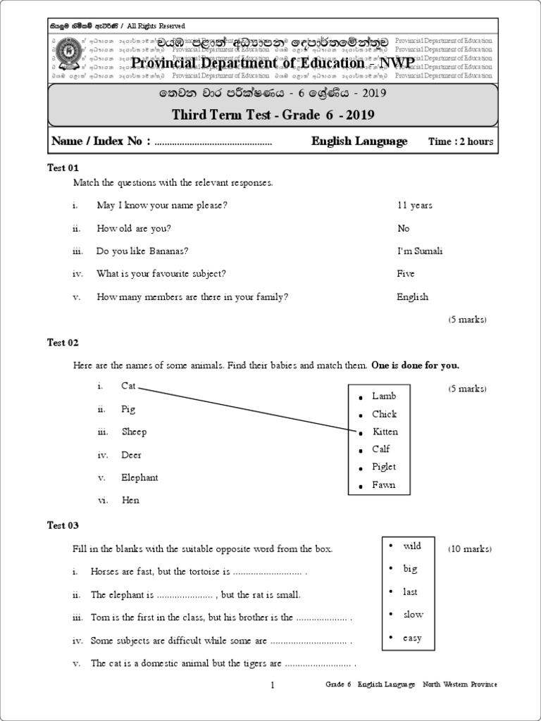 Grade 06 English 3rd Term Test Paper With Answers 2019 North Western ...