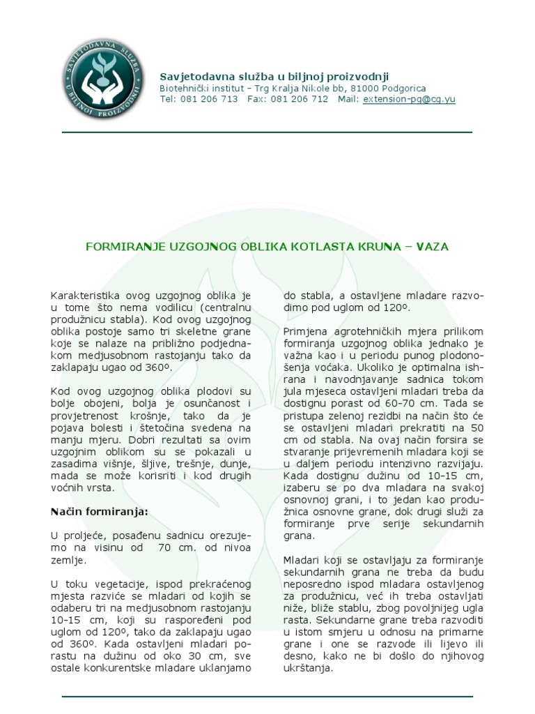 Formiranje Uzgojnog Oblika Kotlasta Kruna | PDF