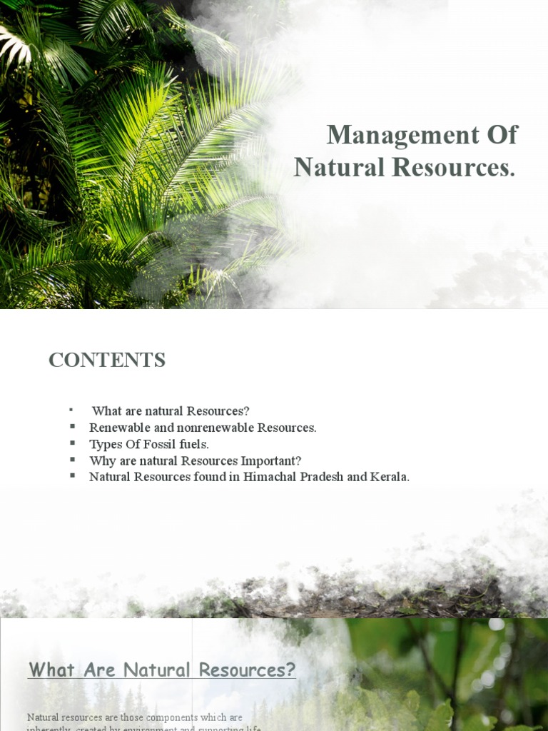 Management of Natural Resources PPT by Hafiz and Group | PDF | Fuels ...