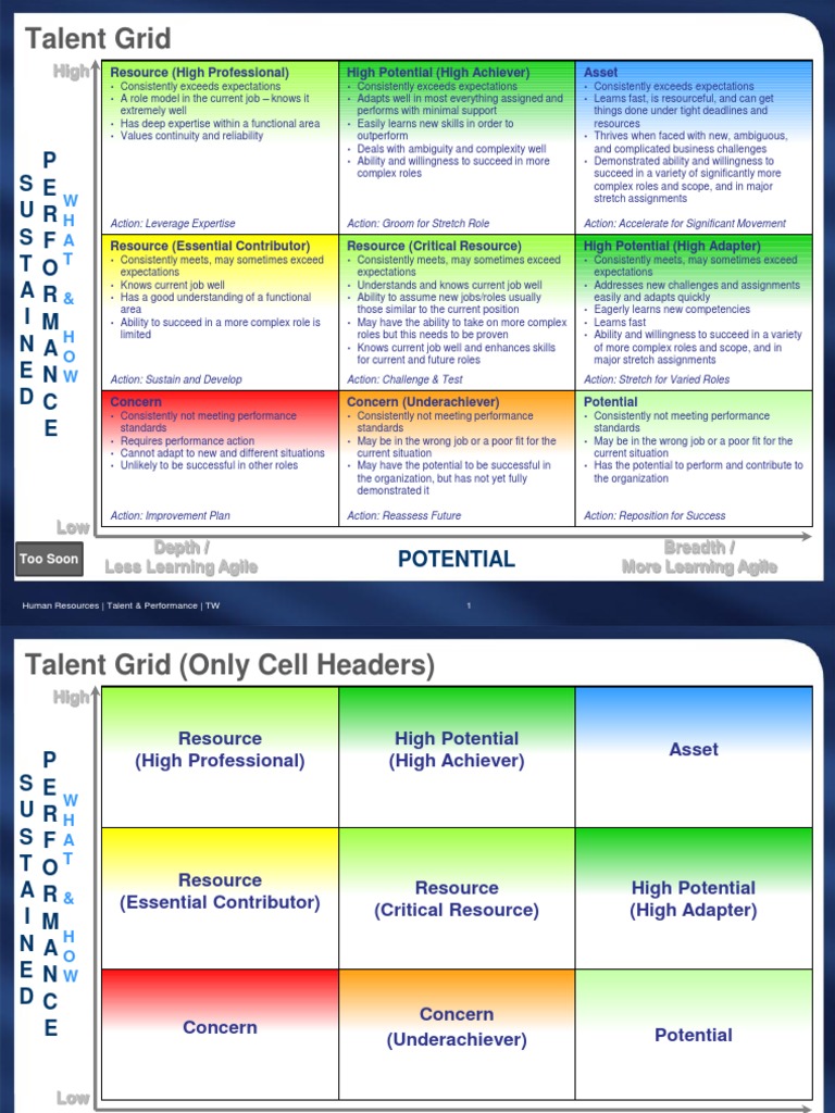Talent Grid | PDF | Cognitive Science | Cognition