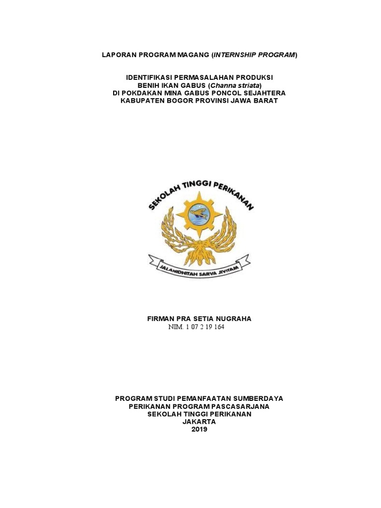 Internship Report by Firman | PDF