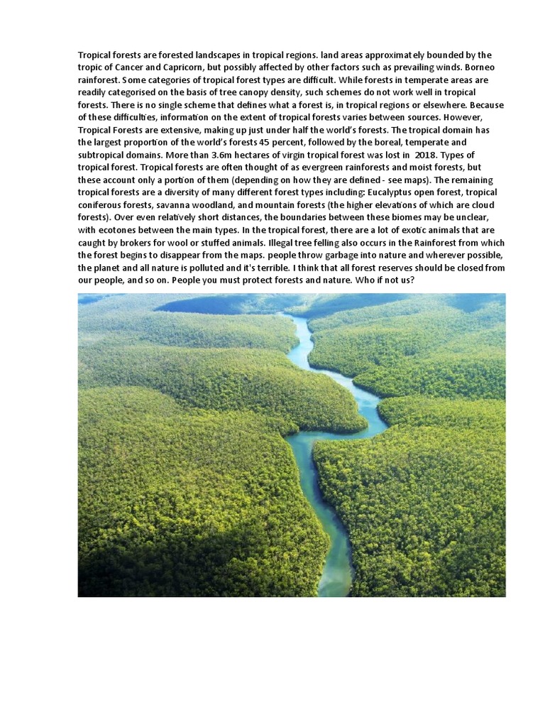 Tropical Forests Are Forested Landscapes in Tropical Regions | PDF