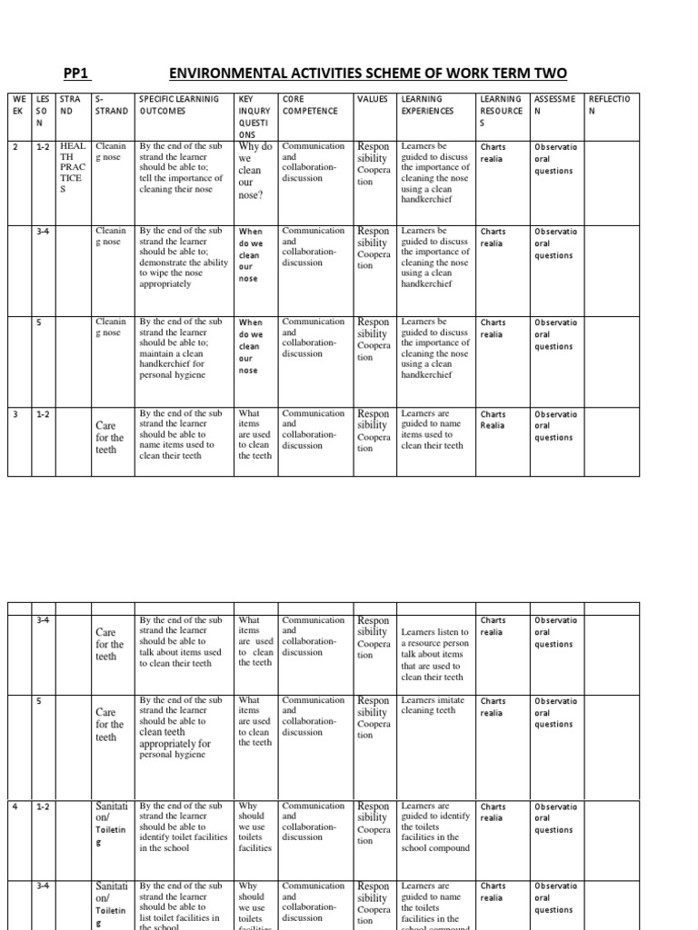 Environmental Activities PP1 Term 2 | PDF