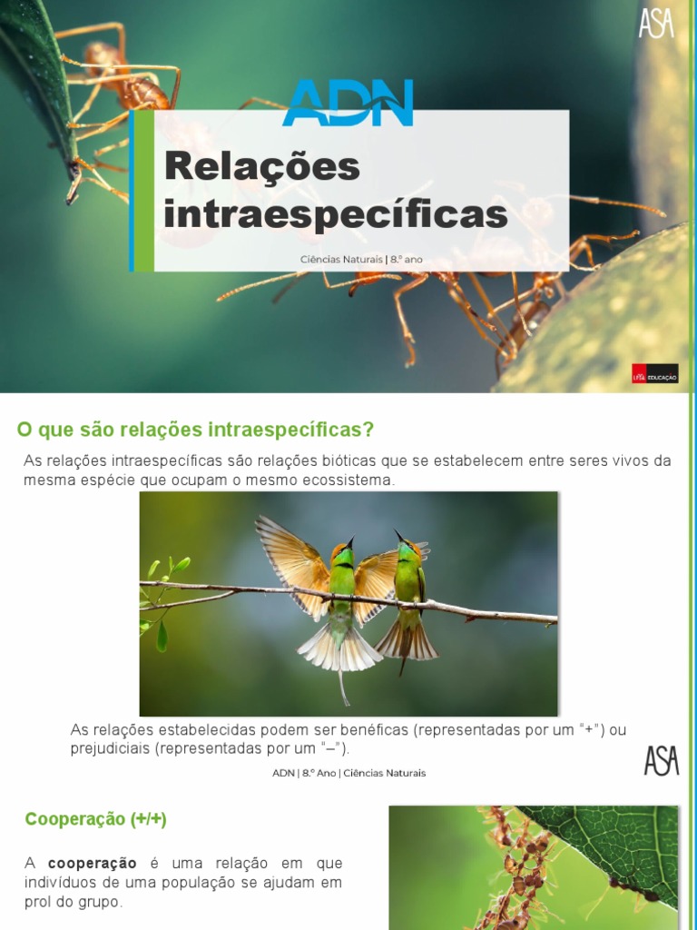 Relações Intraespecíficas | PDF | Concorrência | Organismos