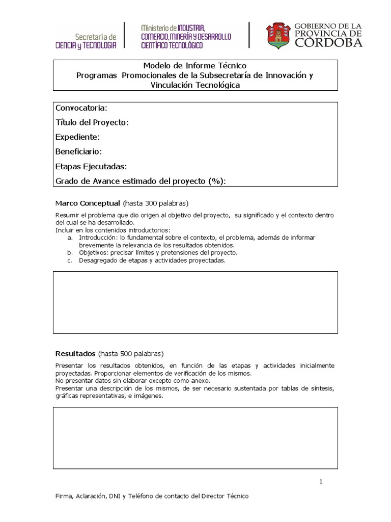 Modelo de Informe Técnico | PDF