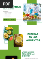 FRUTENZIMA: Usos y Beneficios Clínicos | PDF | Páncreas | Órgano (anatomía)