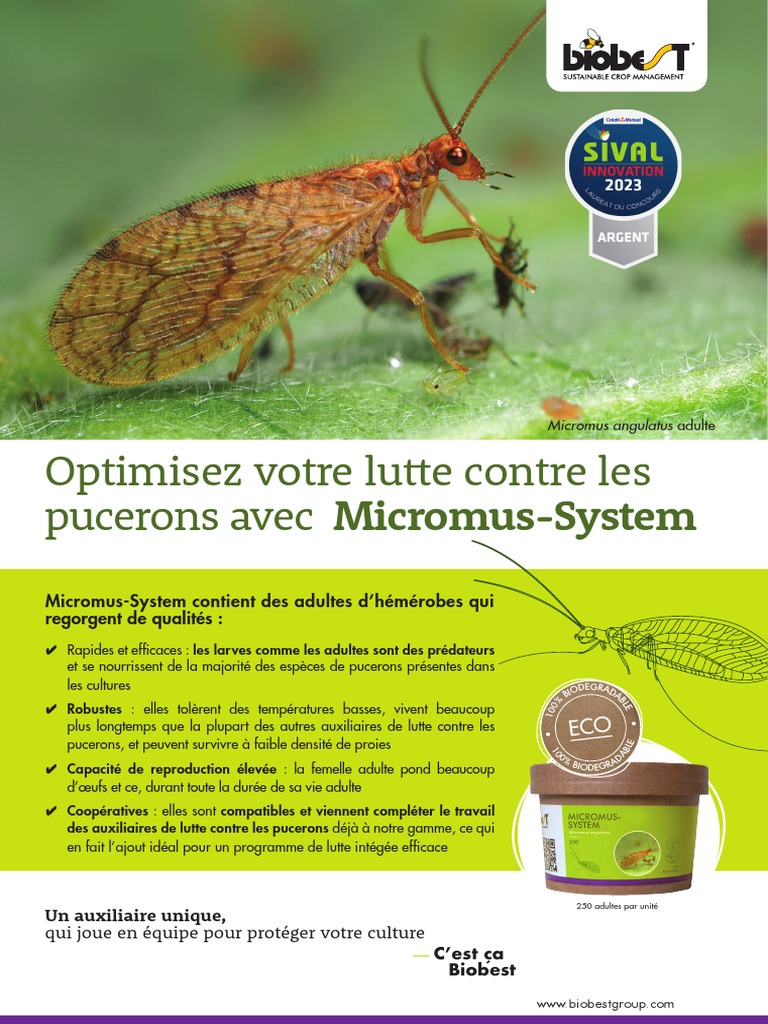 Biobest - Micromus | PDF | Insectes