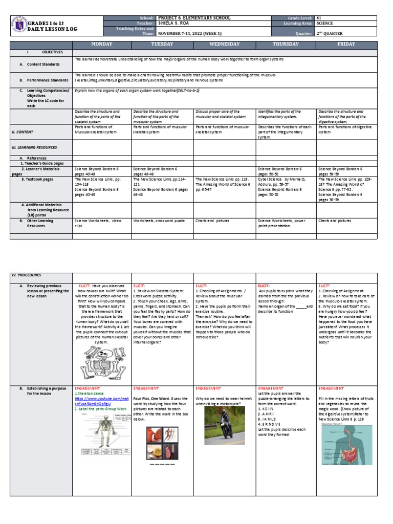 Integumentary System Lesson Plan | PDF | Human Musculoskeletal System ...