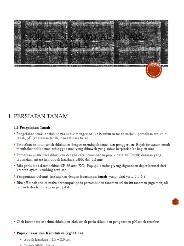 Cara Menanam Cabai | PDF | Teknologi & Rekayasa