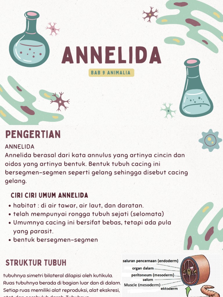 Annelida | PDF