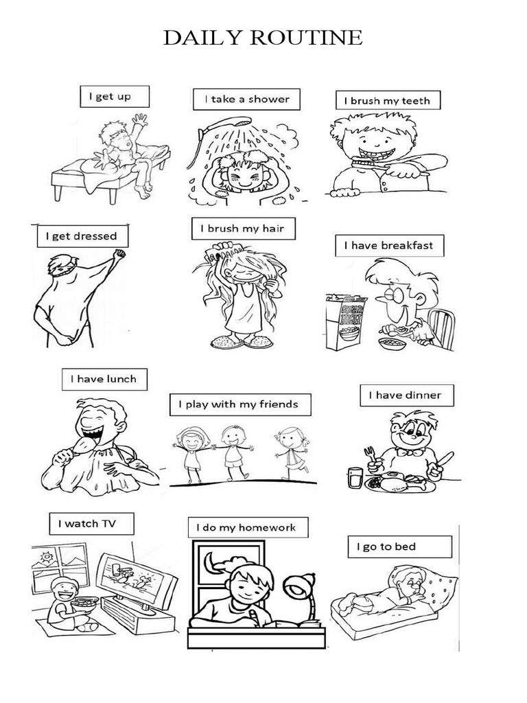 Daily Routine PDF