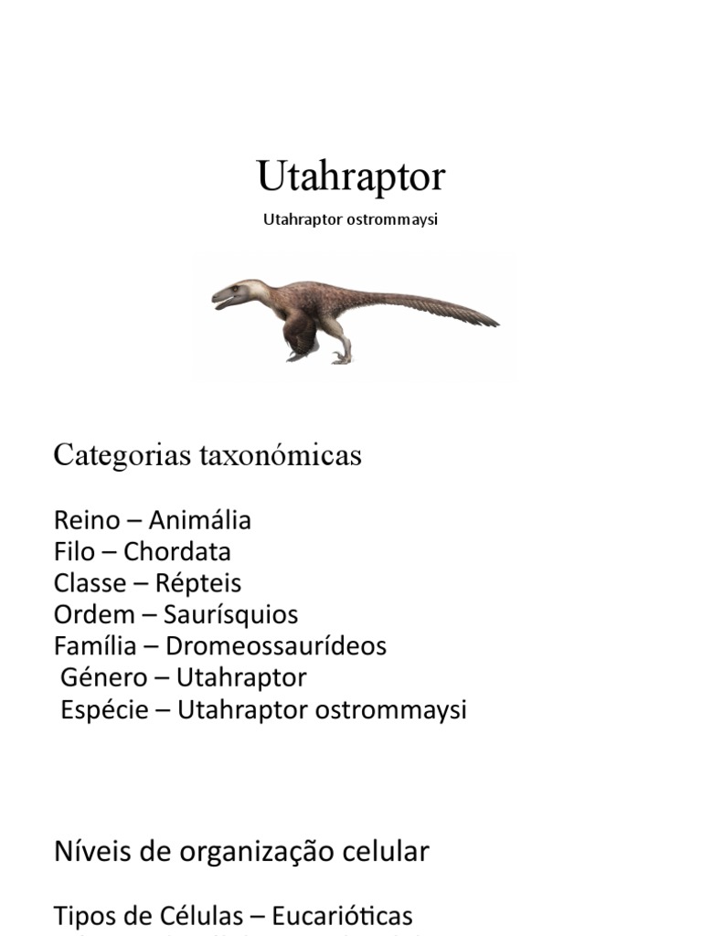 Utah Raptor | PDF