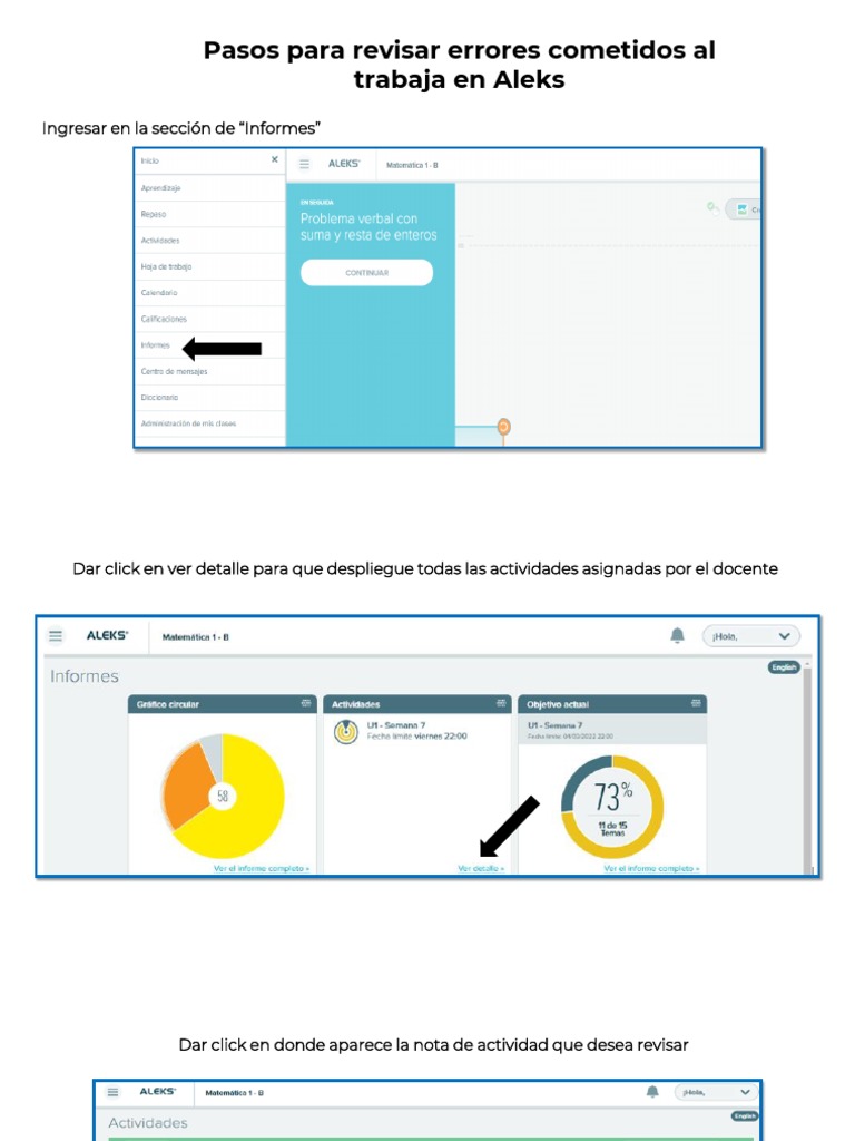 Guía para Revisar Errores en Aleks | PDF