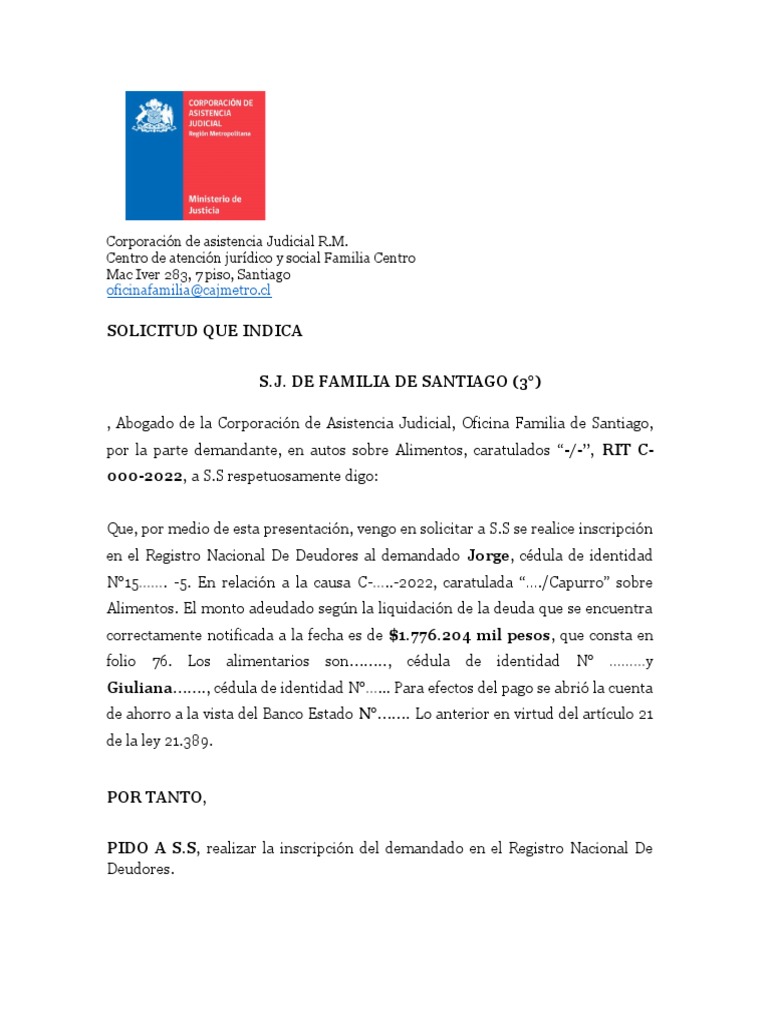 Solicitud Que Indica Registro Deudores | PDF