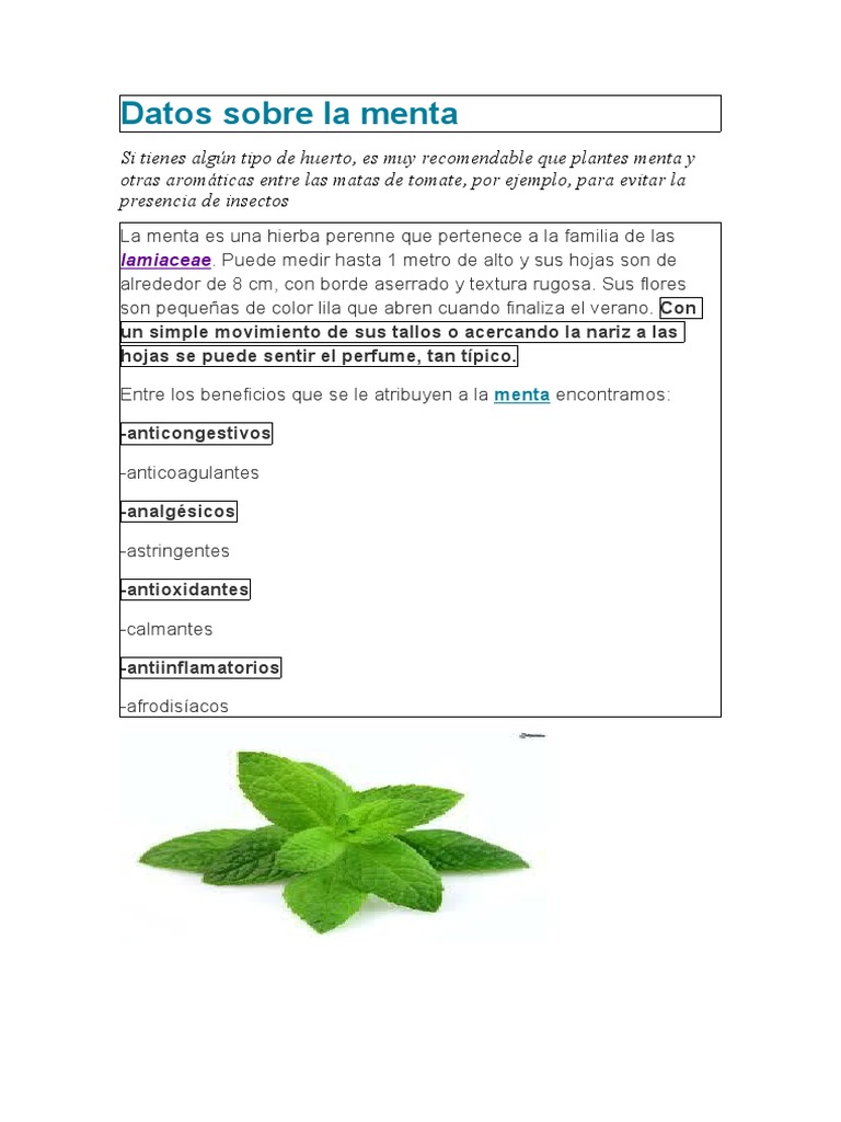 Datos Sobre La Menta | PDF