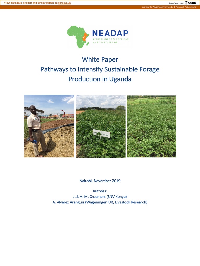 Forage Production Strategies in Uganda | PDF | Agriculture | Hay