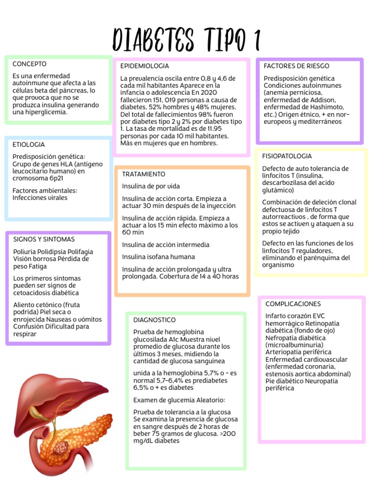 Diabetes Tipo 1 | PDF | Diabetes | Insulina