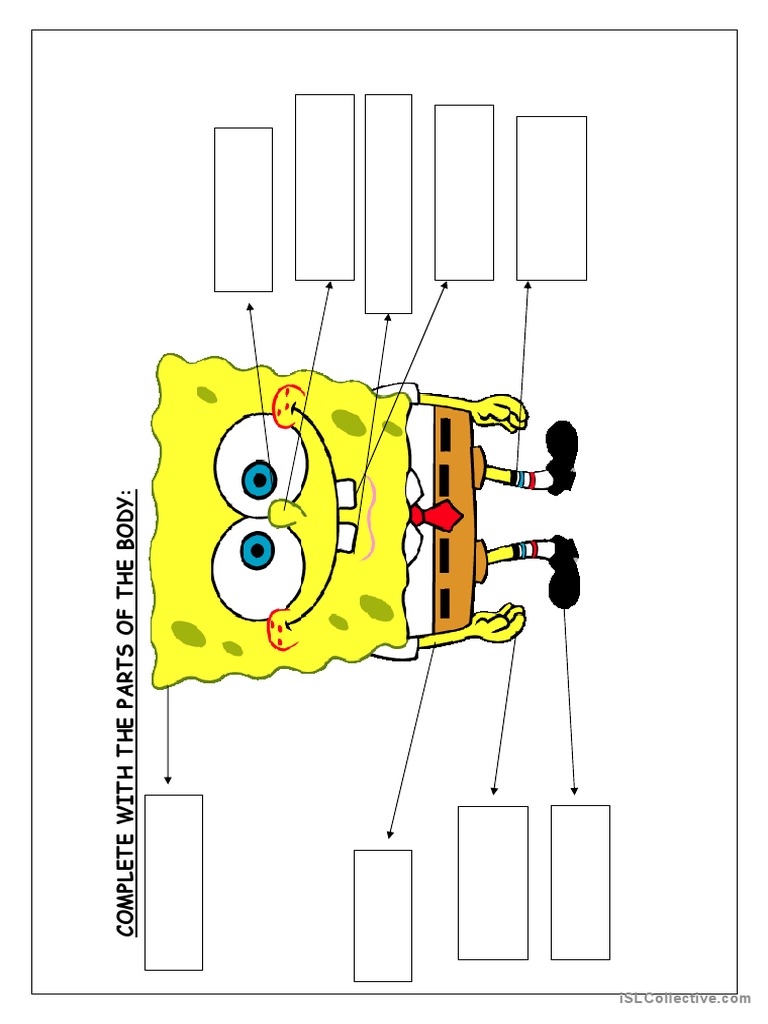 Fun With Spongebob | PDF