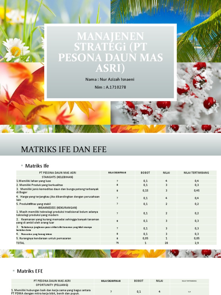 MANAJENEN STRATEGi (PT PESONA DAUN MAS ASRI | PDF