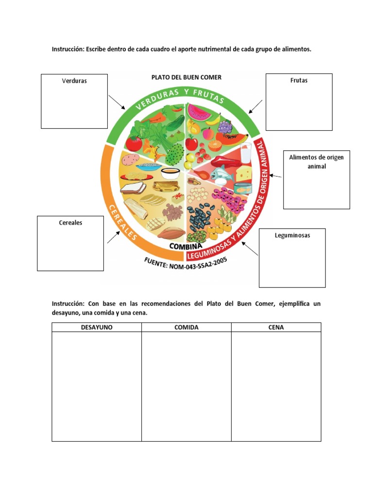 Actividad Plato | PDF