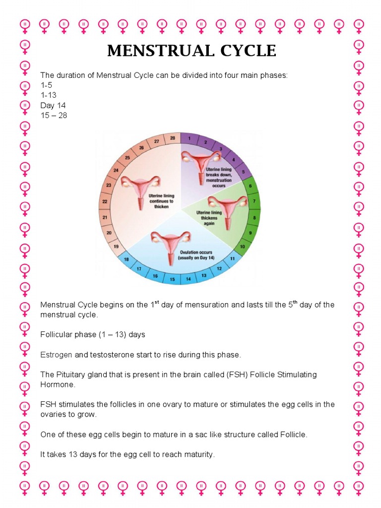 Menstural Cycle Project 1 | PDF