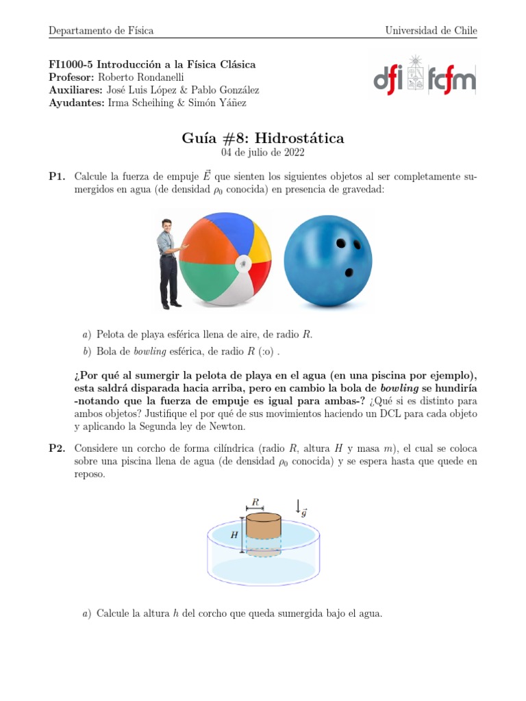 Guia 8 Hidrostatica | PDF | Fuerza | Densidad
