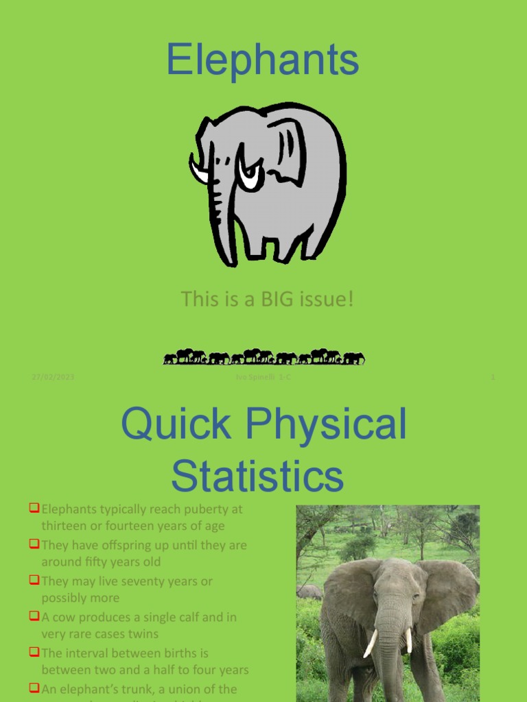 Elephant Facts for Young Learners | PDF