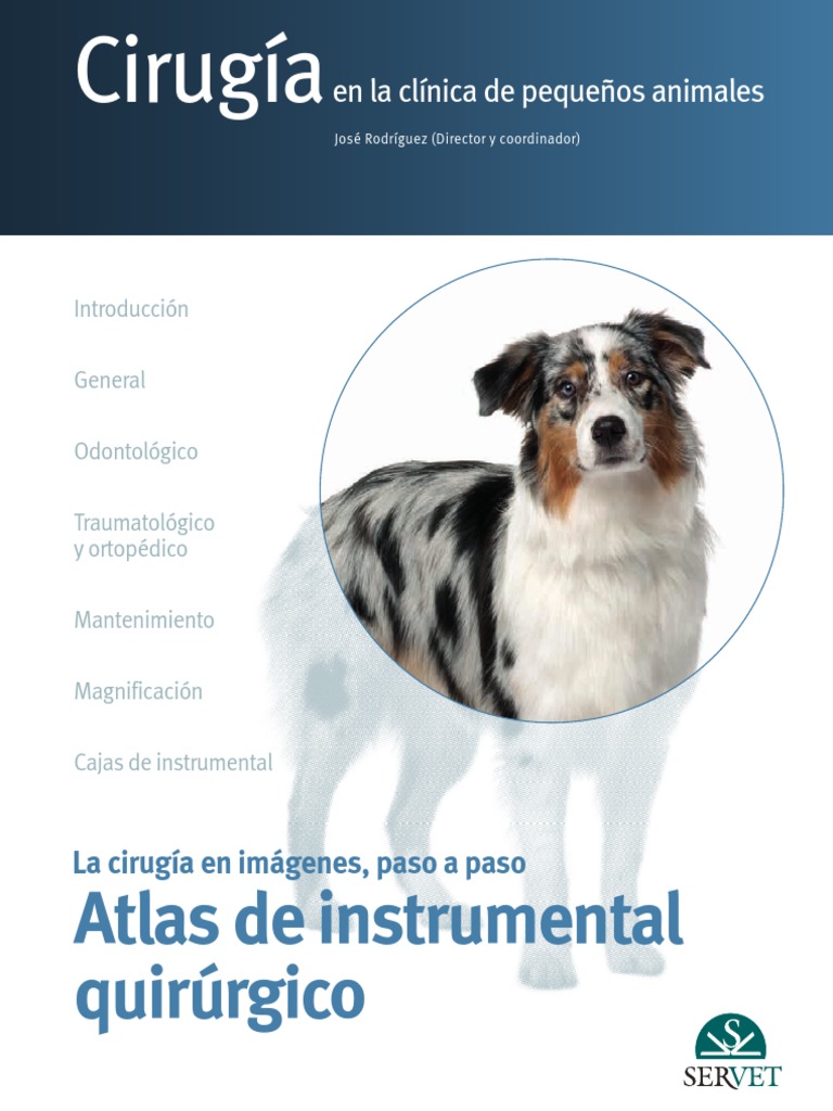 Atlas Instrumental Quirurgico PY097660 | PDF | Cirugía | Tornillo