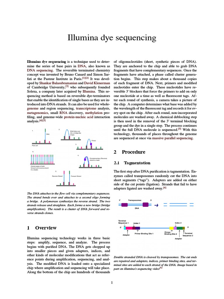 Illumina Dye Sequencing | PDF | Dna Sequencing | Biotechnology