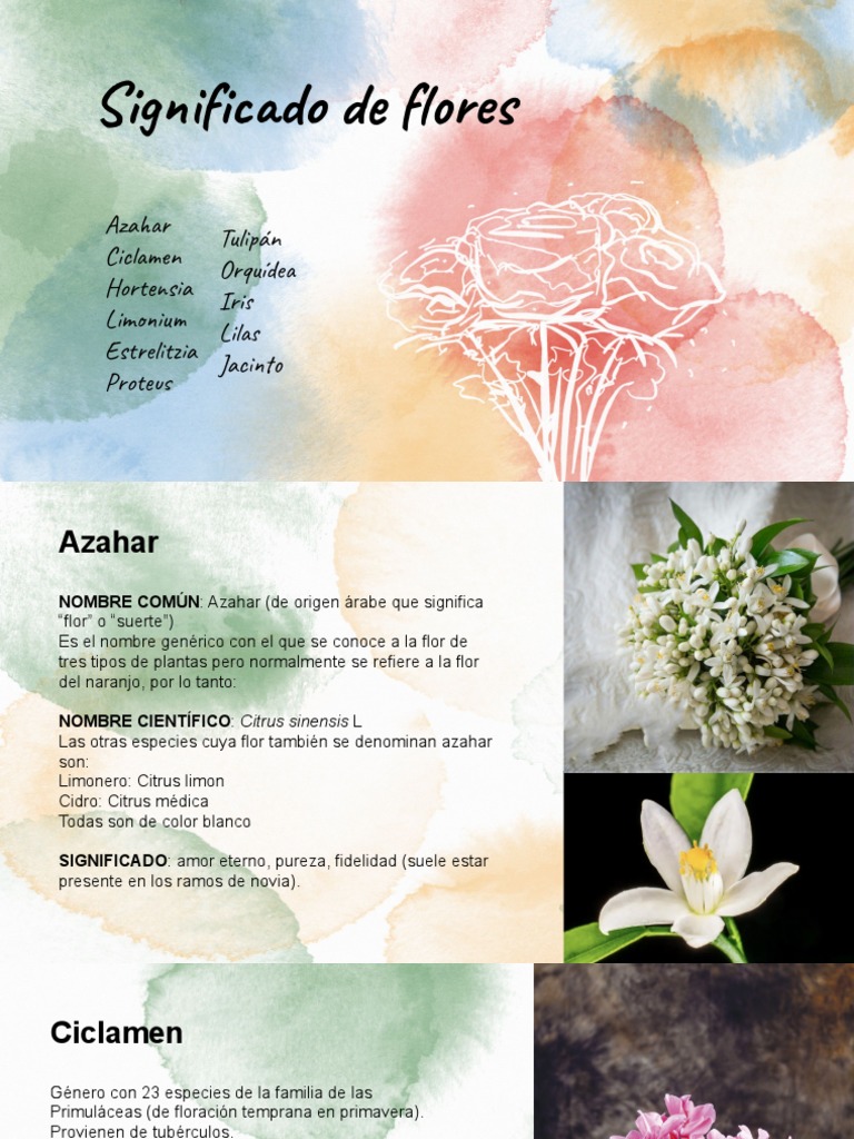 Significado de Flores | PDF | Plantas