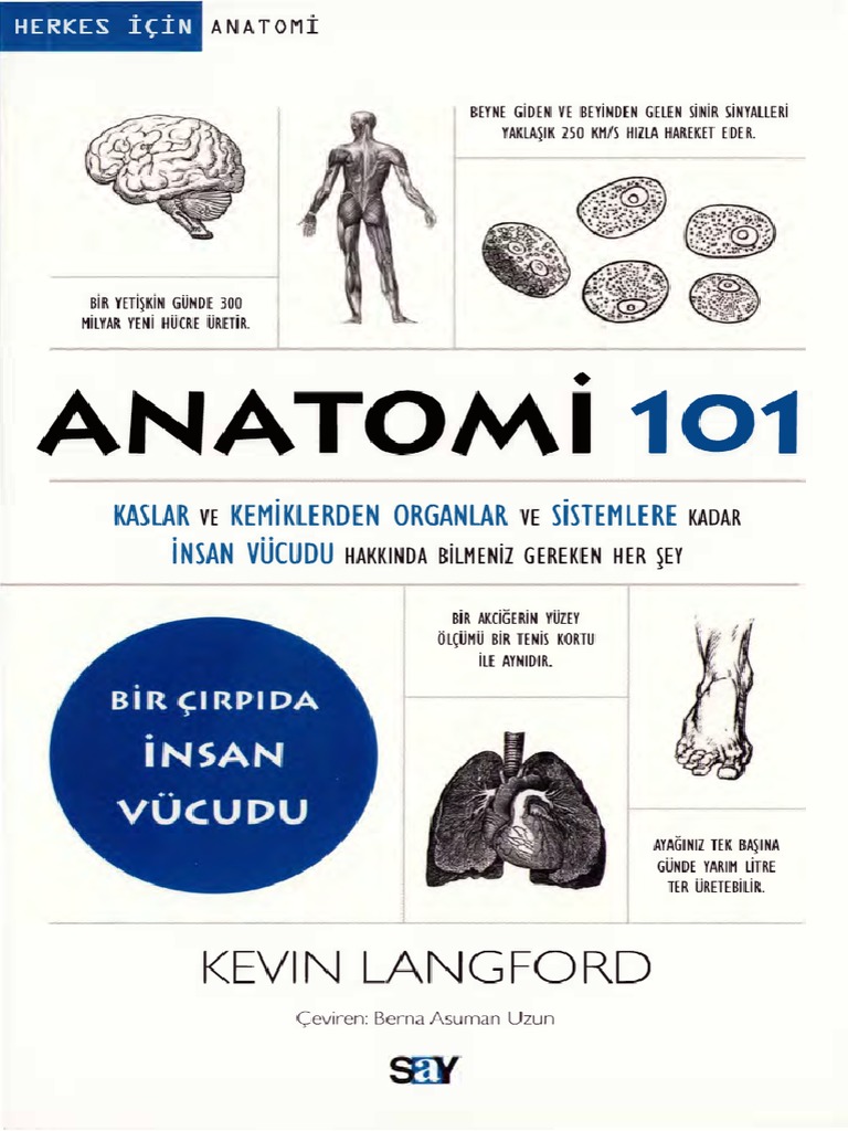 Anatomi 101 - Kevin Langford | PDF