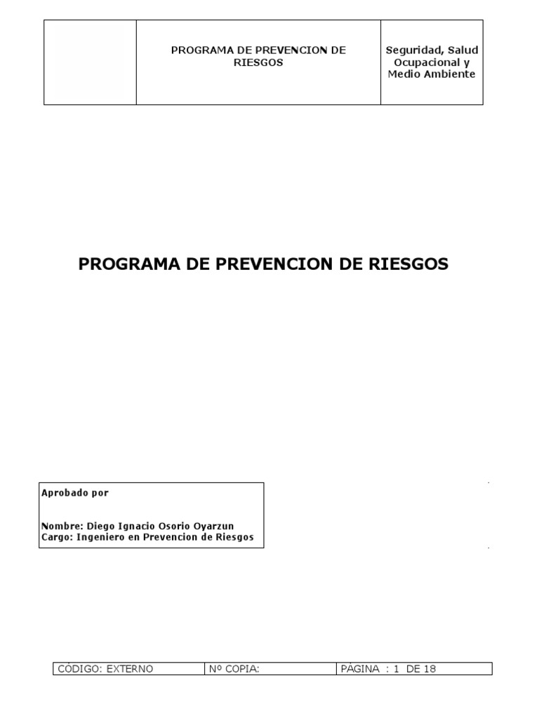 Programa de Prevencion | PDF | Factores humanos y ergonomía | Seguridad y salud ocupacional