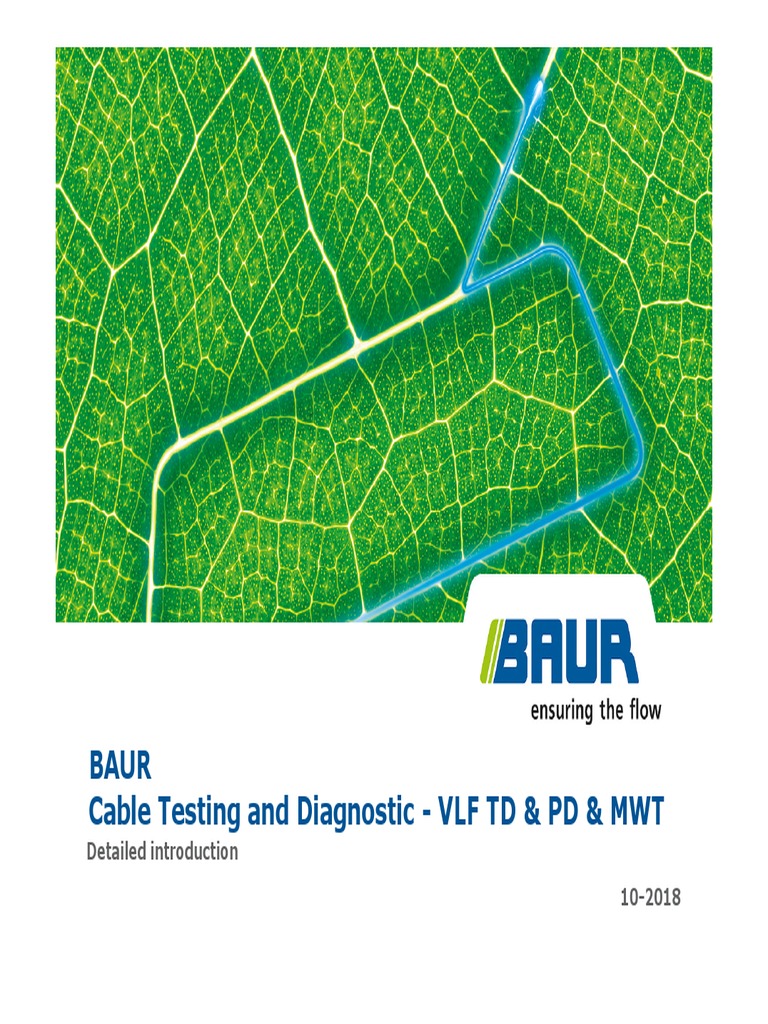 Introduction BAUR Products VLF TD PD MWT IEEE 2018 | PDF | Electric Power | Electrical Engineering