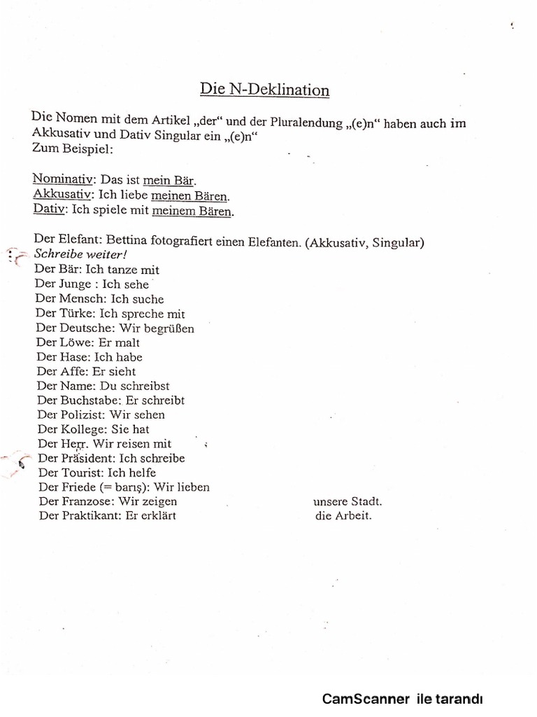 AB N-Deklination | PDF