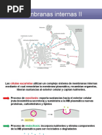 5 Trafico Vesicular | PDF | Biología Celular | Bioquímica