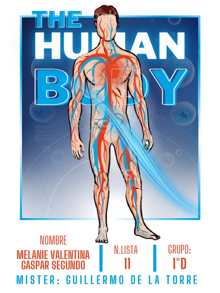 Human | PDF