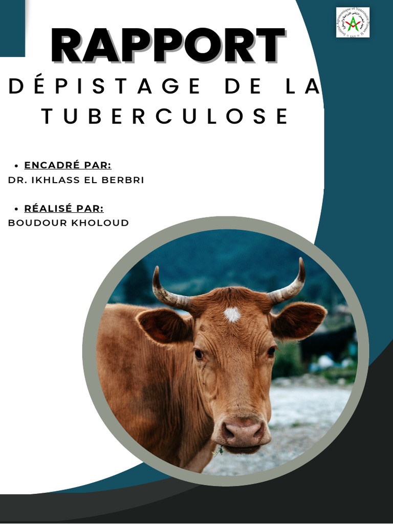 Dépistage de la Tuberculose Animale | PDF | Système immunitaire ...