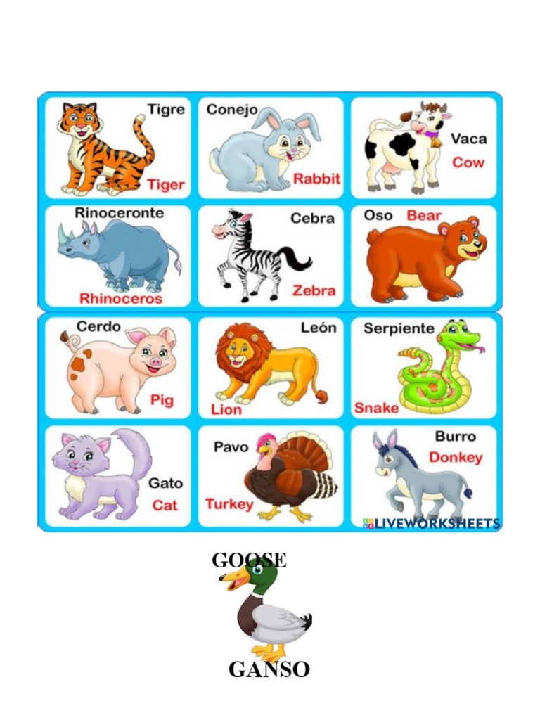 Animales en Ingles y Español Imagenes | PDF