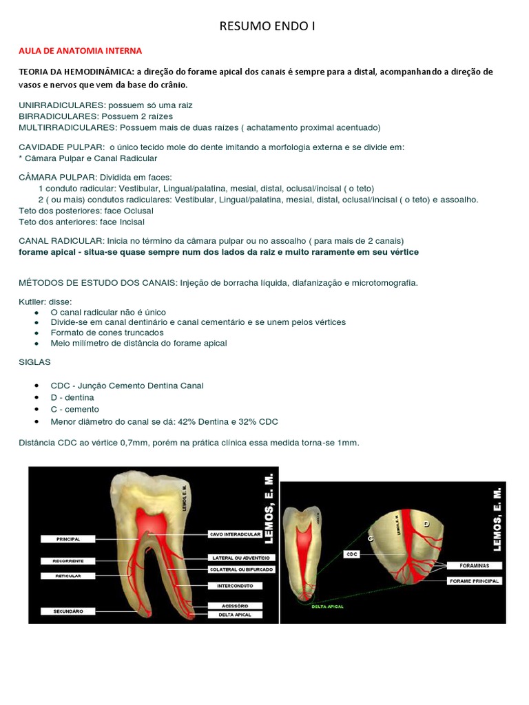 RESUMO ENDO I e II-1 | PDF
