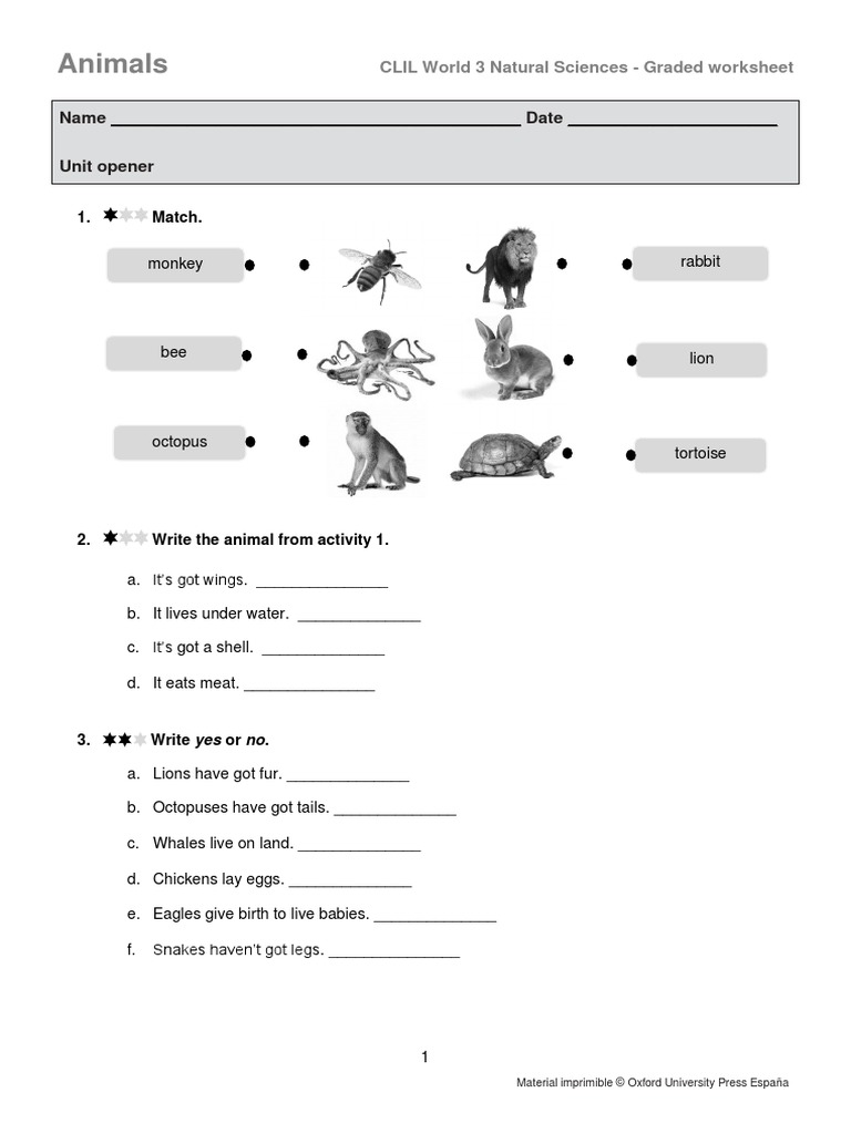 Animals 3 Grad Worksheet | PDF | Invertebrate | Mammals
