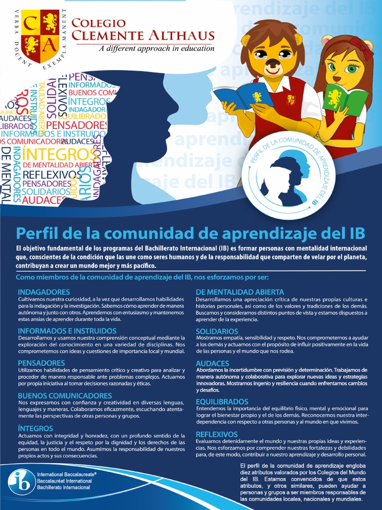 Perfil Del IB | PDF