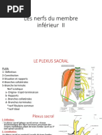 18 - Physiologie Du Nerf Récurrent | PDF | Nerf vague | Larynx