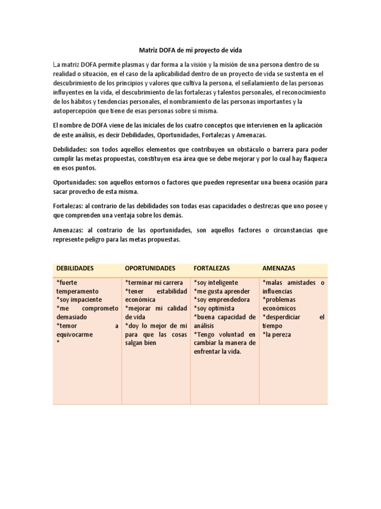 Matriz DOFA de Mi Proyecto de Vida | PDF | Relaciones personales ...