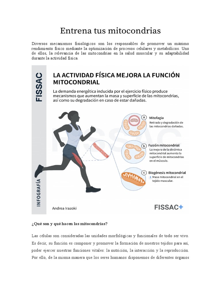 Entrena Tus Mitocondrias | PDF | Mitocondria | Biología Celular) Entrena Tus Mitocondrias | PDF | Mitocondria | Biología Celular)