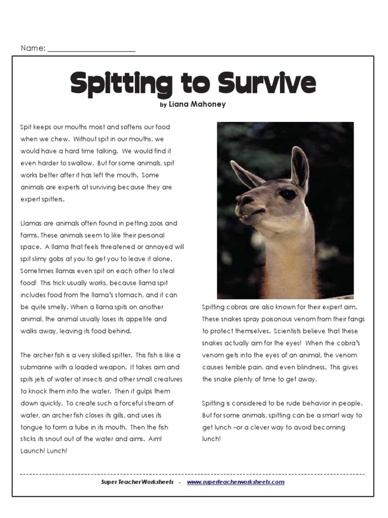 Spitting Animals | PDF